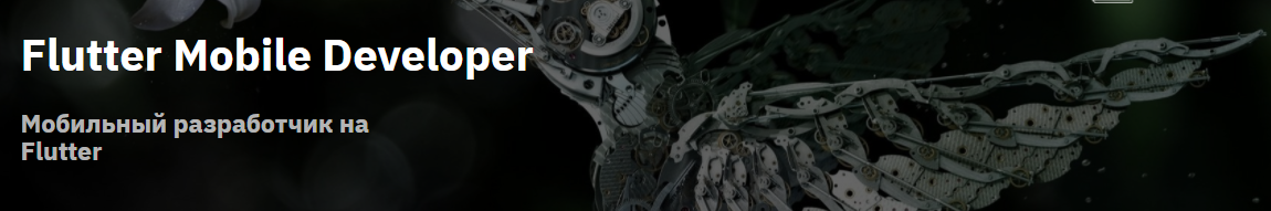 ТОП-12 лучших курсов Flutter: обучение онлайн, бесплатные и платные в ...